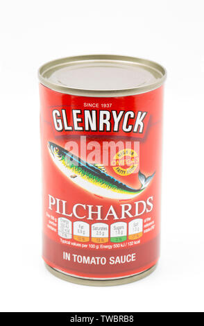 Pilchards tin fish tinned Glenryck pacific in tomato sauce cut out ...