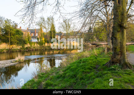 The River Wansbeck at Morpeth in Springtime Stock Photo - Alamy