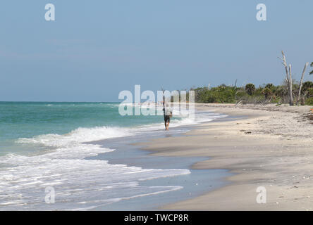 Stump Pass Beach State Park Florida Stock Photo - Alamy
