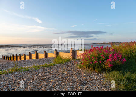 Wooden Groynes at Whitstable, Kent, UK Stock Photo - Alamy