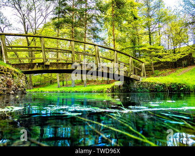 small bridge over stream in a grove with a lake in Sri Lanka Stock ...
