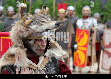 Signifer of a Roman Legion in wolf skin and legionaries in the ...