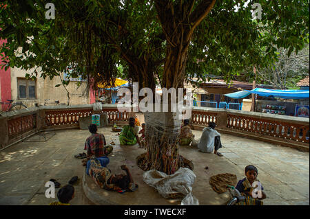People sitting under banyan tree, Auroville, Pondicherry, Puducherry ...