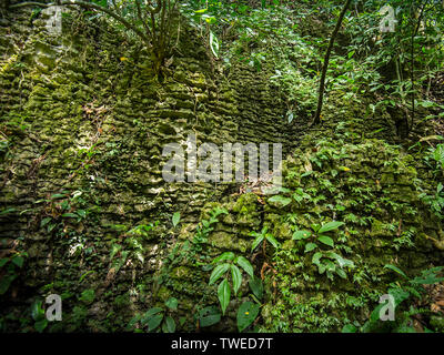Niah Cave National Park located at Miri Division of Sarawak Malaysia ...