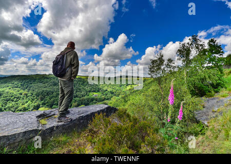 Hell Hole Rocks, Heptonstall, Calderdale, West Yorkshire Stock Photo ...