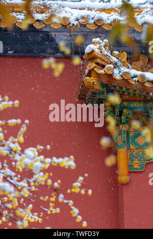 Early snow in Ming Xiaoling Stock Photo - Alamy