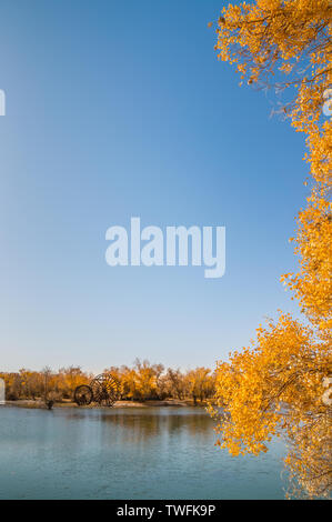 Poplar Lin, lake, reflection, beautiful scenery Stock Photo - Alamy