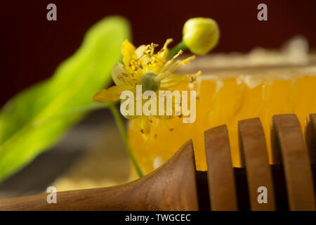 Block of comb honey with flower and wooden utensil for dispensing the ...
