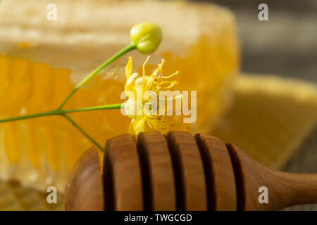 Block of comb honey with flower and wooden utensil for dispensing the ...