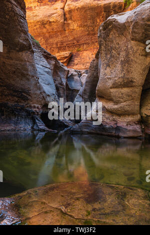 Hiking the Left Fork Trail to the Subway gorge, Zion National Park, USA ...