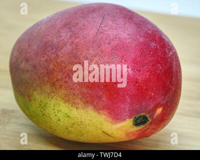 A delicious fresh imported tropical mango Stock Photo - Alamy
