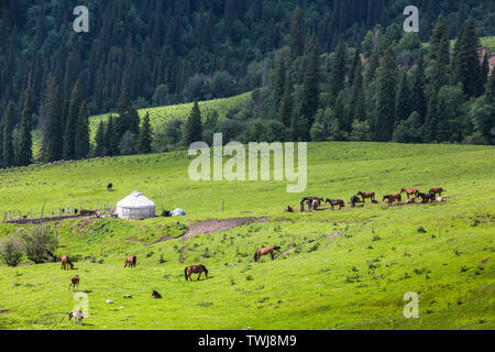 The Narati Prairie, which has a river valley and a mountain prairie ...