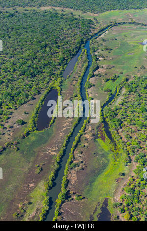Kasanka National Park, Serenje, Provincia central, Zambia, Africa Stock ...