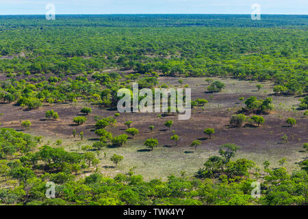 Kasanka National Park, Zambia, Africa Stock Photo - Alamy