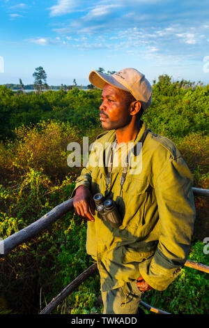 Ranger, Viewing tower, Kasanka Bat migration, Kasanka National Park ...