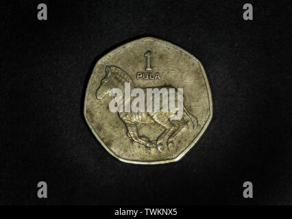 Botswana Pula coins Stock Photo - Alamy