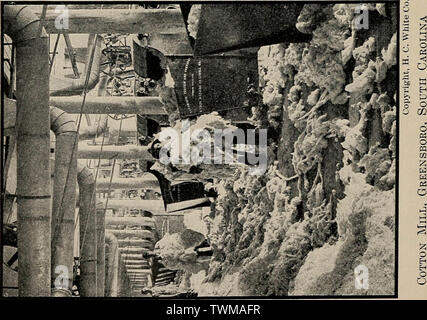 "The upward path : the evolution of a race" (1909 Stock Photo - Alamy