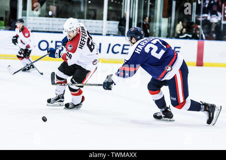 MELBOURNE, AUSTRALIA, JUNE 21: Shane Heffernan of Canada in the 2019 ...