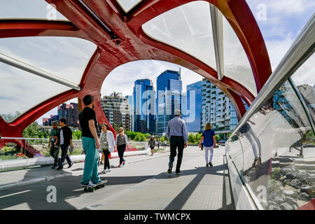 Pedestrians and cyclist Peace Bridge over the Bow River, Calgary ...