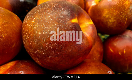 Barcelona naval museum and a walk trough on Barcelona streets Stock ...