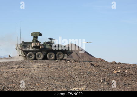 Reserve Marines with Company F, 4th Tank Battalion, 4th Marine Division ...