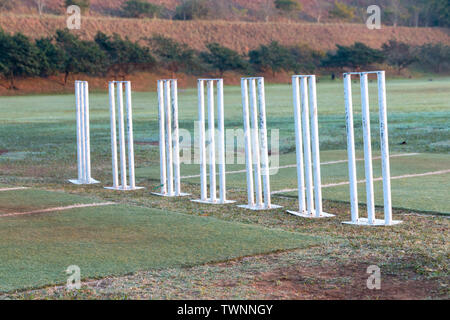 A close up view of seven white metal cricket wickets all in a row on ...