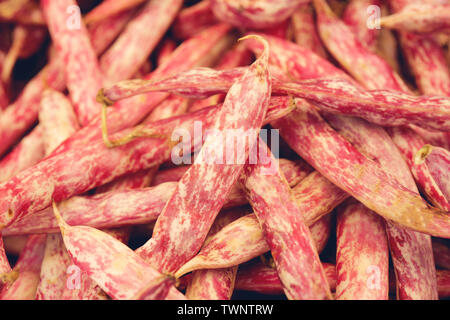 Heap of raw Pinto beans ,Phaseolus vulgaris on white background Stock ...