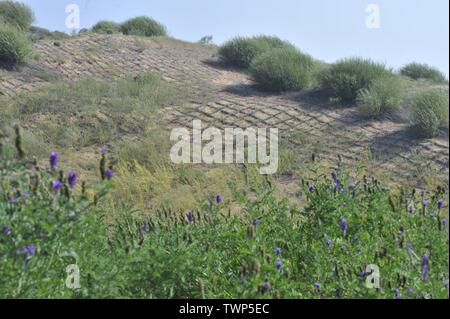Yinchuan. 20th Sep, 2015. Photo taken on Sept. 20, 2015 shows straw ...