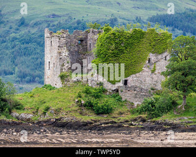 OLd Castle Lachlan at Lachlan Bay, Argyll, Scotland, UK Stock Photo - Alamy