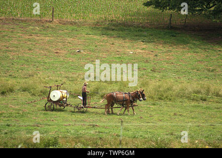 Amish man working on his property in Lancaster County, PA, USA Stock ...