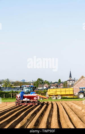 tractor plowing a furrow for planting Stock Photo - Alamy