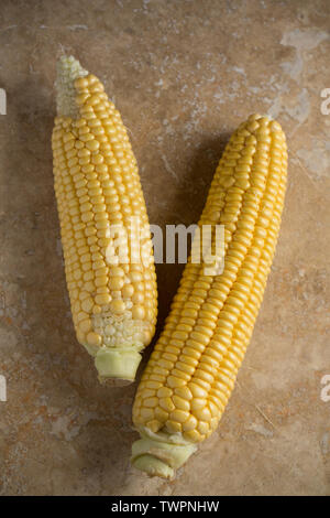 Fresh corn cobs on light background Stock Photo - Alamy