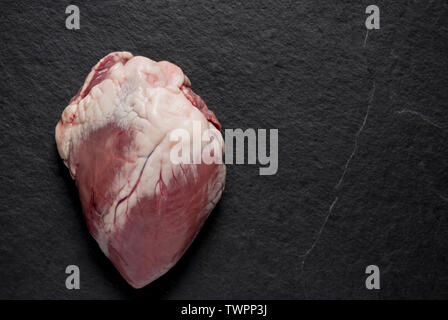 Lamb's heart bought from a supermarket. Interior showing 'heartstrings ...