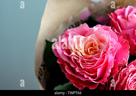 Bouquet of fresh roses, flower bright background Stock Photo - Alamy