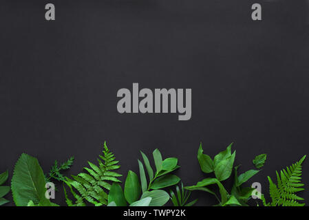 Creative layout of green leaves, exotic wild plants on pink, top view ...