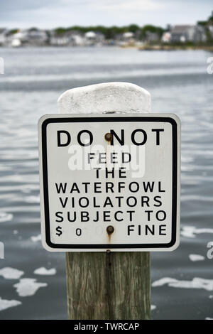 Sign saying Wildlife Feeding Prohibited, Stanley Park, Vancouver ...