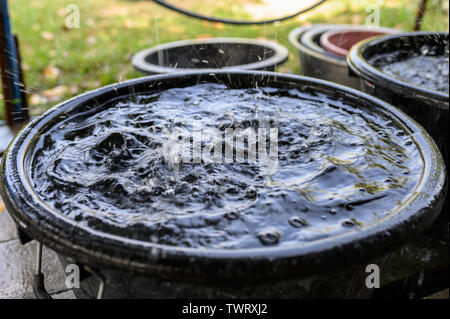 Rain falling into full bucket of water Stock Photo - Alamy