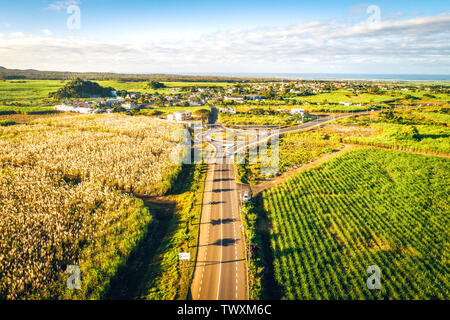 Sugarcane plantation on tropical island of Mauritius Stock Photo - Alamy