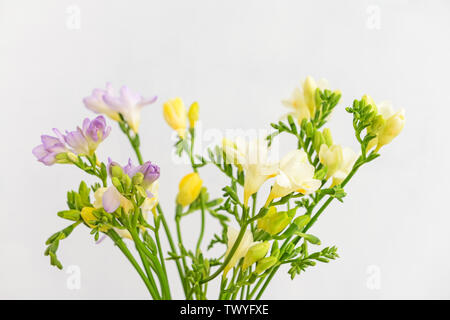 Beautiful freesia flowers on light pink background Stock Photo - Alamy