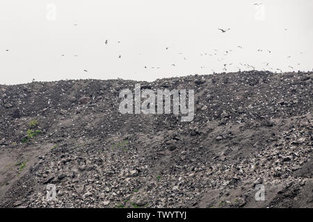 Shoreline of the Calumet River Stock Photo - Alamy