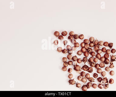 open, empty nutshell Stock Photo: 39541427 - Alamy