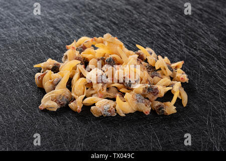 top view dry conch meat on dark background Stock Photo - Alamy
