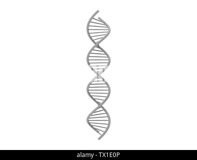 3d rendering of a DNA string isolated in white background Stock Photo ...