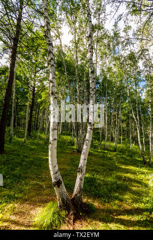 Hulunbuir Haur River, Inner Mongolia Stock Photo - Alamy