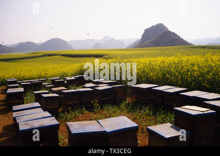 Map of Luoping beekeepers Stock Photo - Alamy