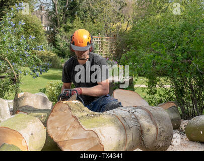 Worker uses chainsaw to cut tree stump in wooded area near storage shed ...