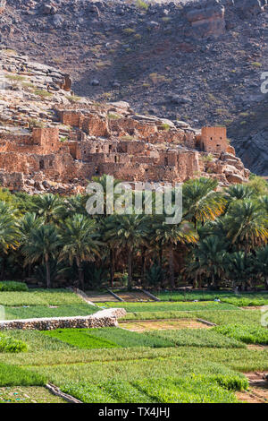 Fields of Al Hamra, Ad Dakhiliyah, Oman Stock Photo - Alamy