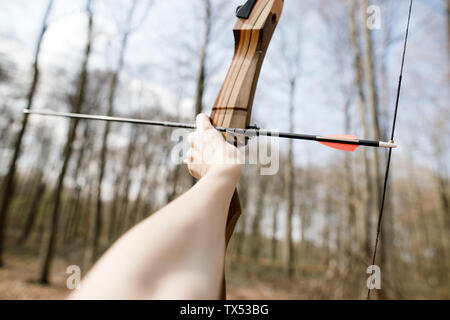 Archer, detail, hand, bow, arrow, target, sight man, sports contactors ...