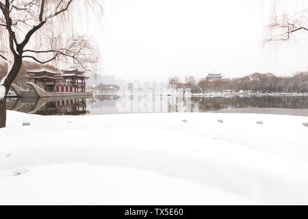 Ancient City Xi'an Qujiang Scenic Area Big Wild Goose Pagoda Furong ...