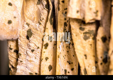 Mouldy, hairy bean skin Stock Photo - Alamy